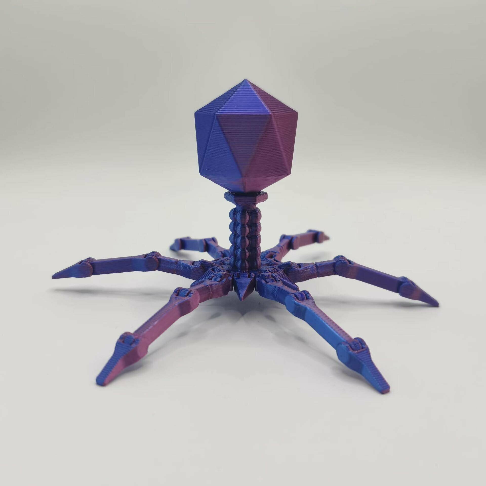 3D-печатная подвижная модель бактериофага: креативный подарок, увлекательное образовательное средство, биологический