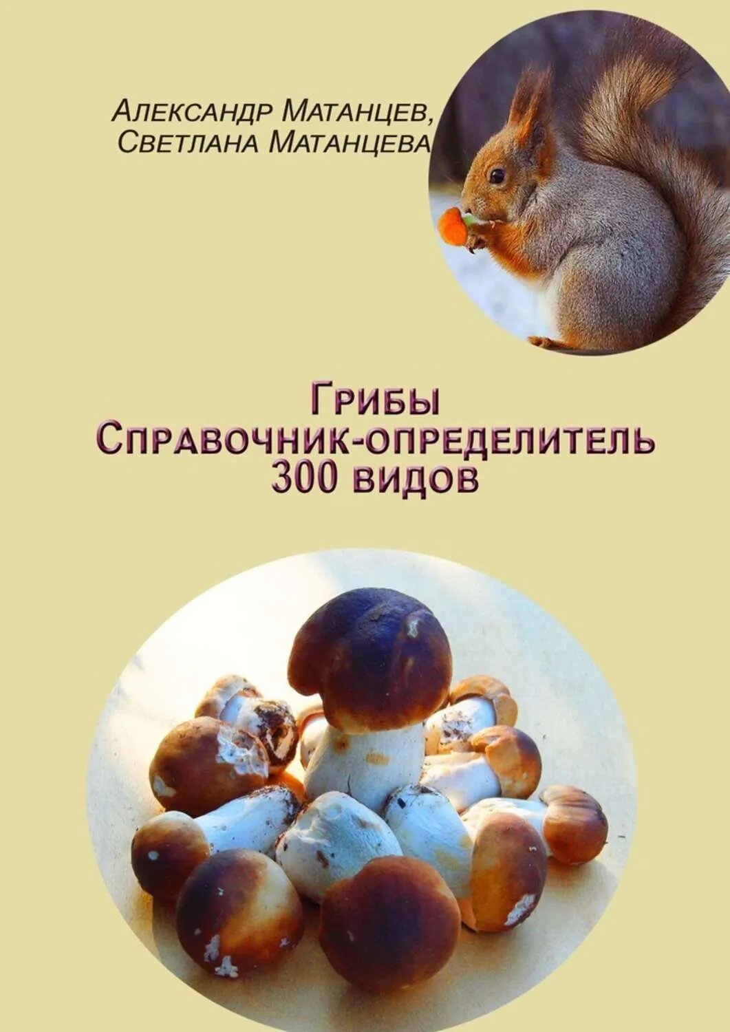 Грибы. Справочник-определитель 300 видов [Цифровая книга]