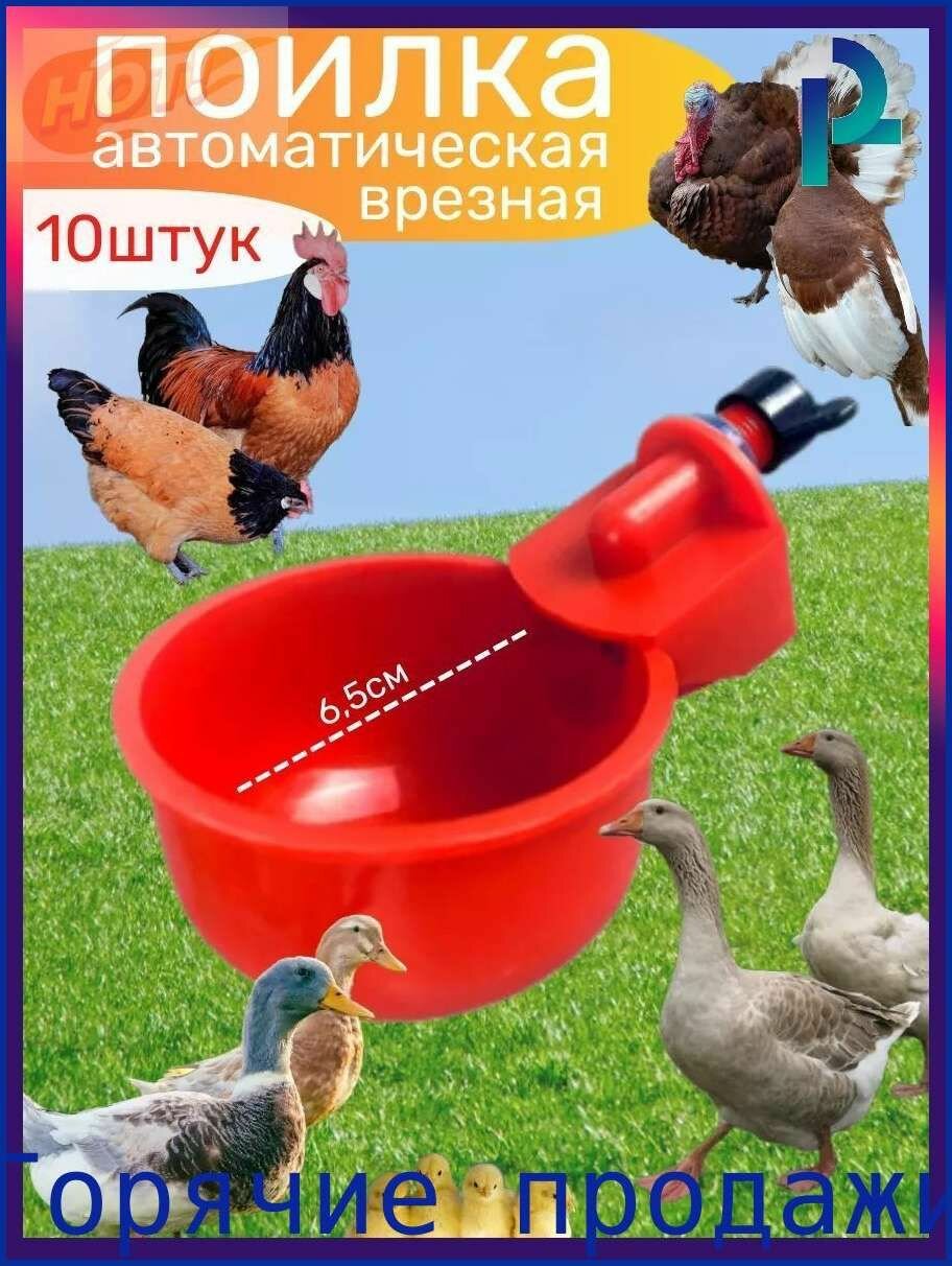 Поилка для кур чашечная 10 штук