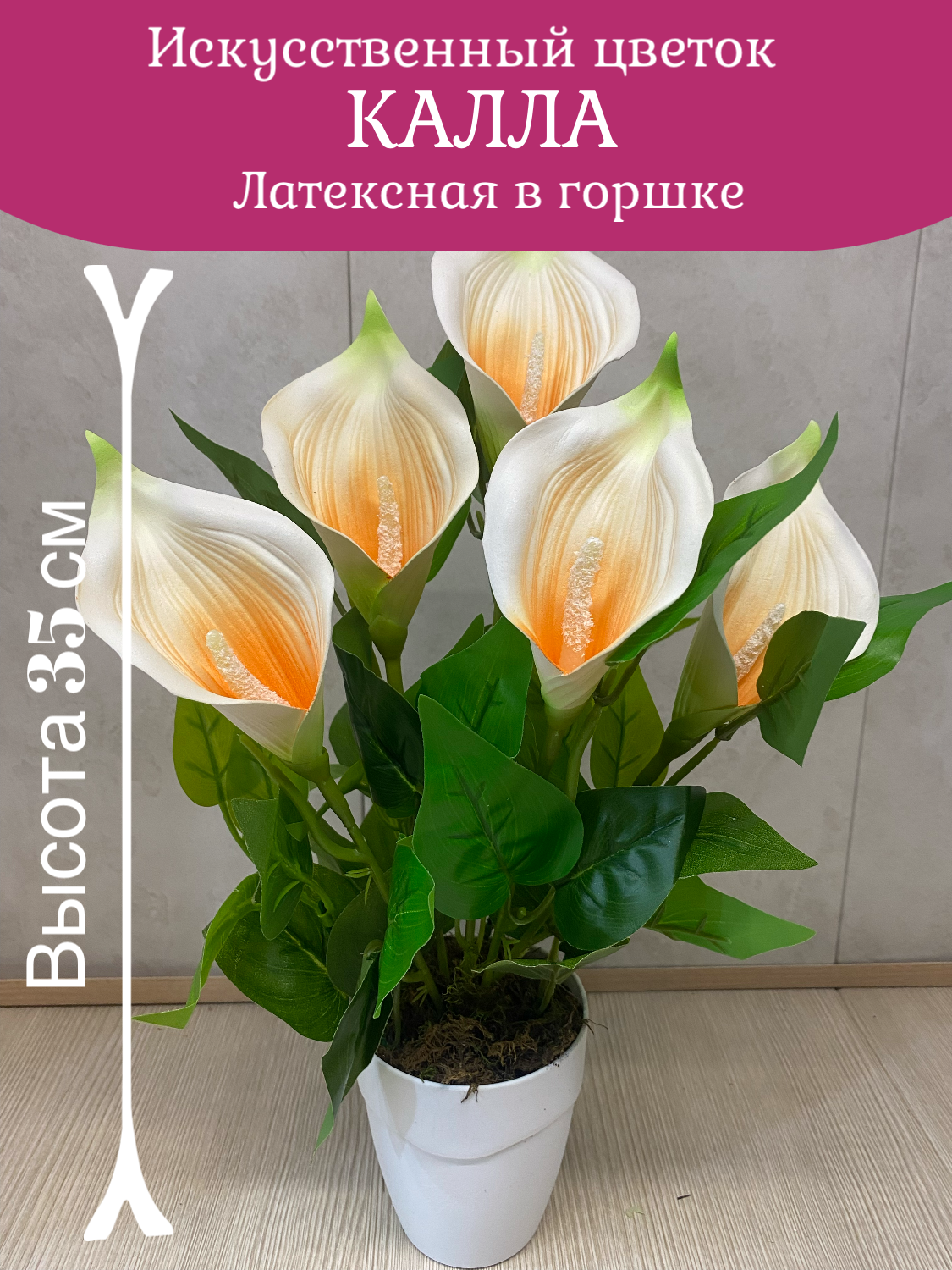 Калла в горшке №9 нежно-персиковая от "Лотос"