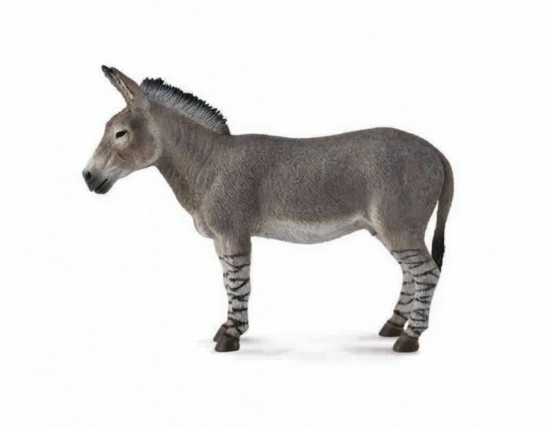 Игрушка Collecta Дикий африканский осел