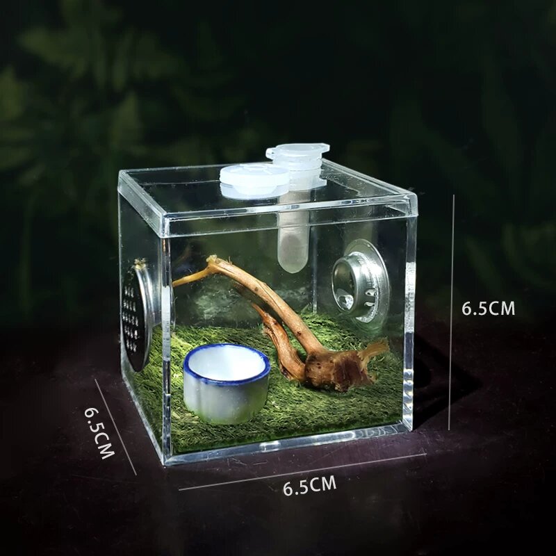 Клетка для разведения прыгающих пауков, премиум-террариум для пауков, для цикад, стрекоз, высокопрозрачный контейнер