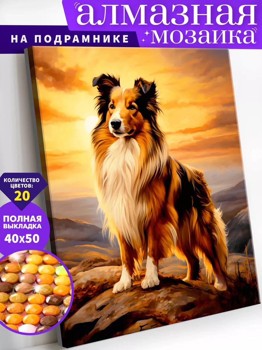 Алмазная мозаика на подрамнике 40х50 см "Колли"