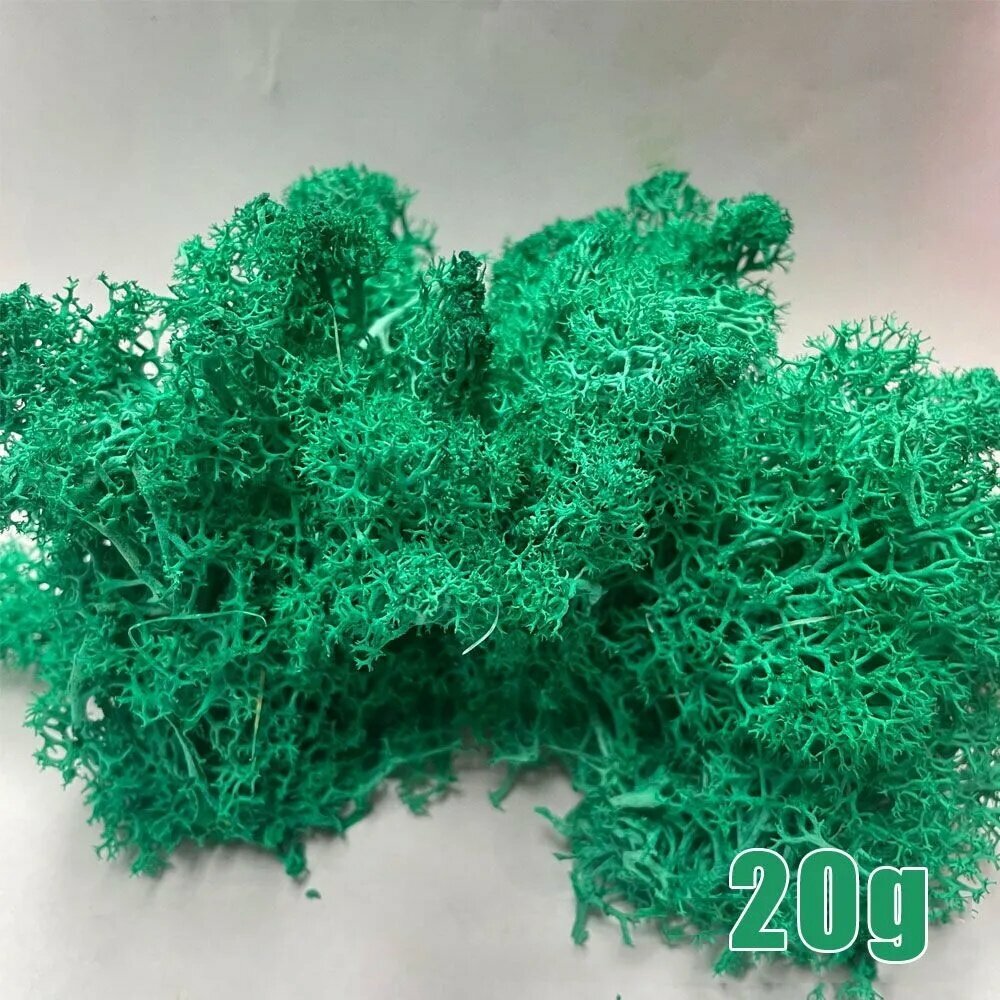 Стабилизированный мох Мох, 20 гр