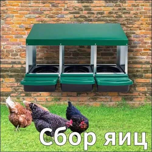 Инновационный курятник премиум на 3 гнезда, металлический, для кур, сбор яиц