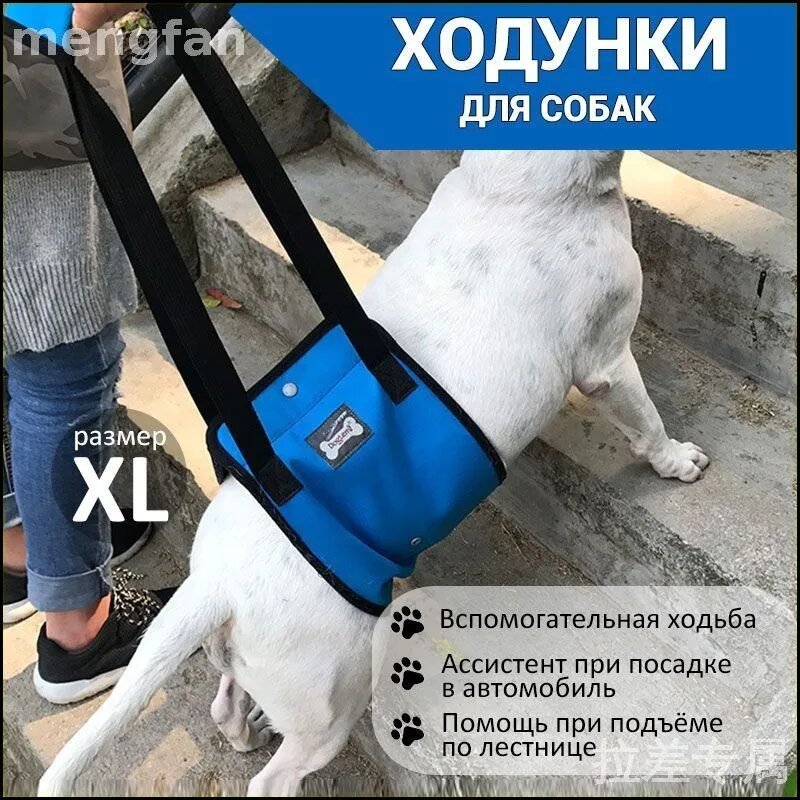 Эксклюзивные ходунки XL для собак: полная поддержка и помощь при ходьбе.