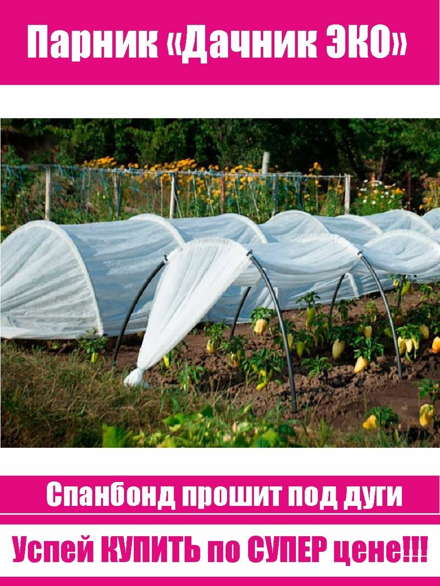 Парник, теплица — фото 1