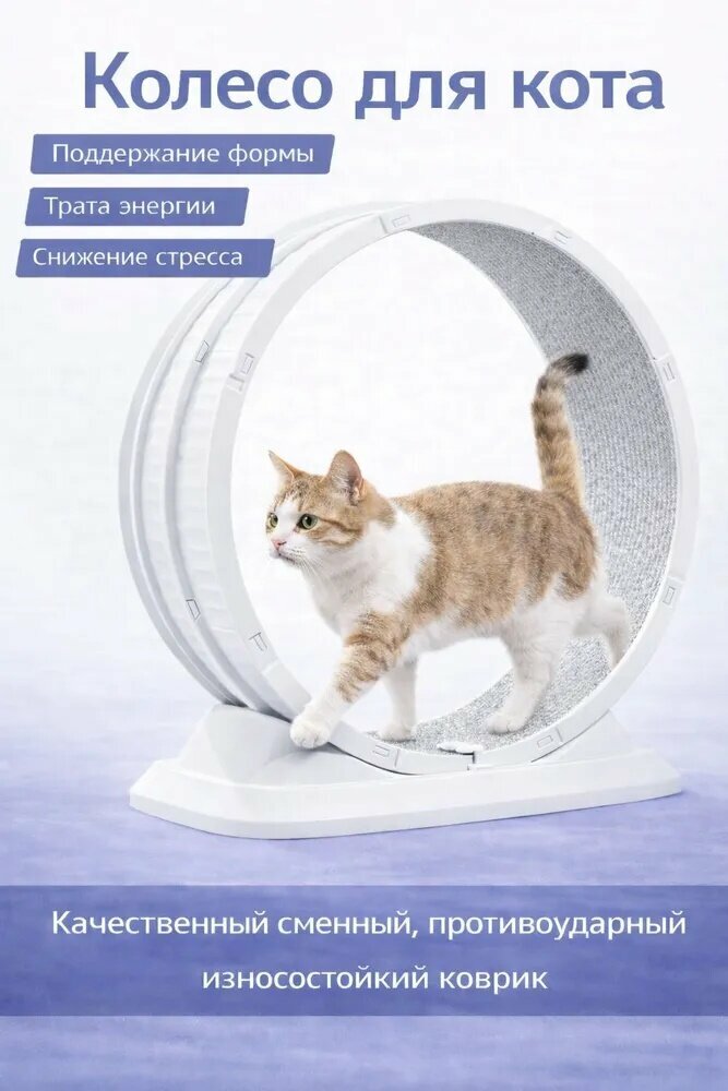 Беговое колесо для животных