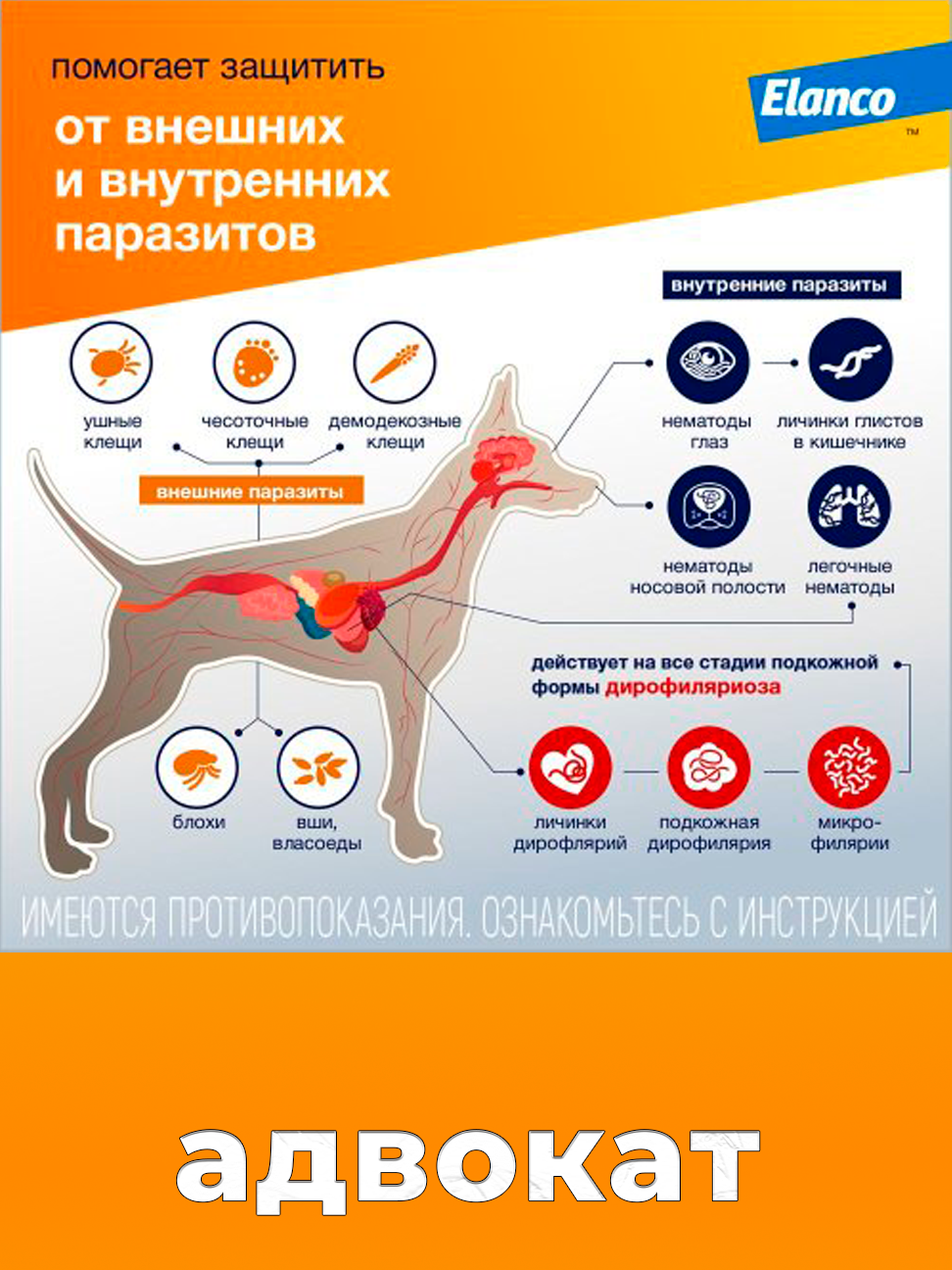 Адвокат, капли на холку от блох, чесоточных клещей для собак 4-10 кг, 1 пип х 1,0 мл