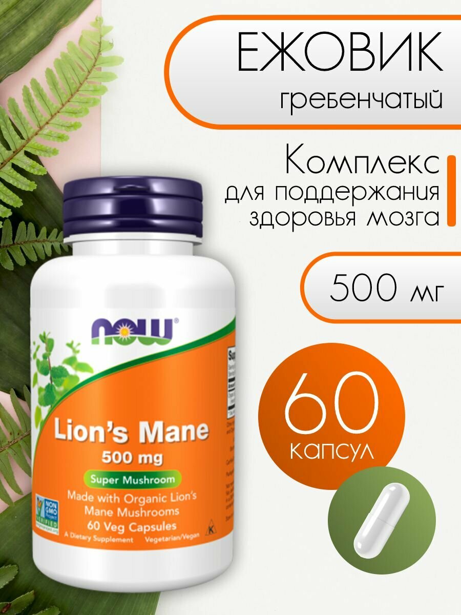 Пищевая добавка NOW Foods Lion's Mane, для мозга, 500мг, 60 капсул