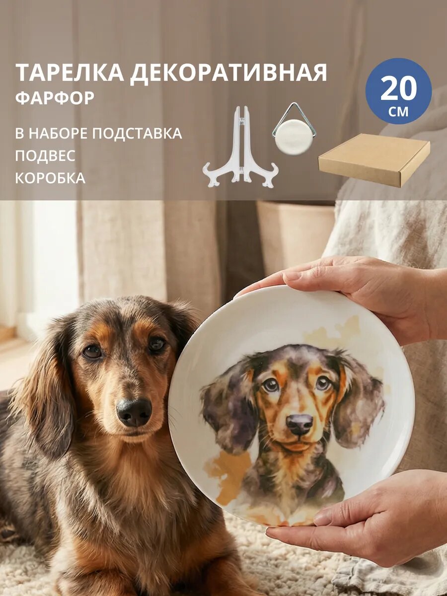 Тарелка декоративная фарфоровая 20 см Добрушский фарфор Луна