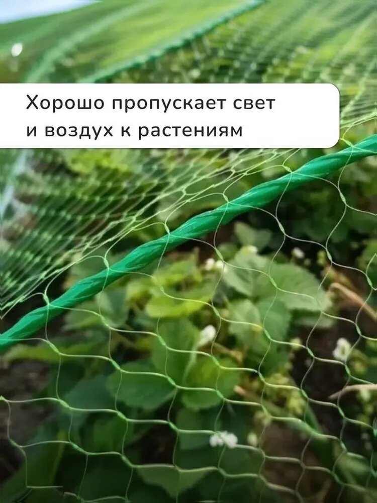 Сетка садовая,10х2м — фото 1