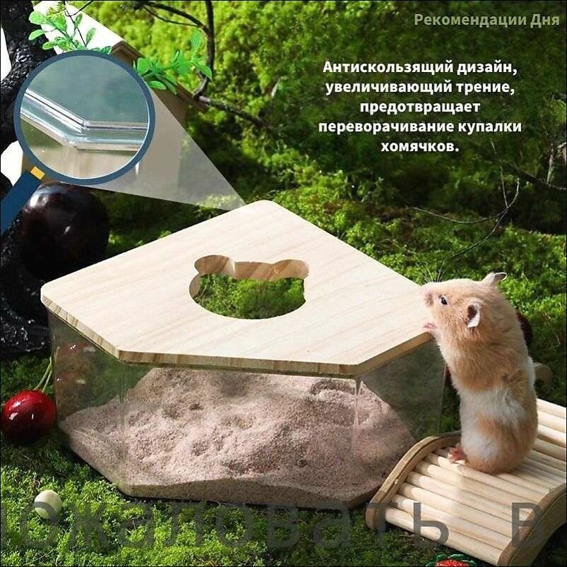 Купалка для мелких грызунов/Домик для хомяков, Ванночка для купания хомячка и писсуар двойного назначения,13*8cm