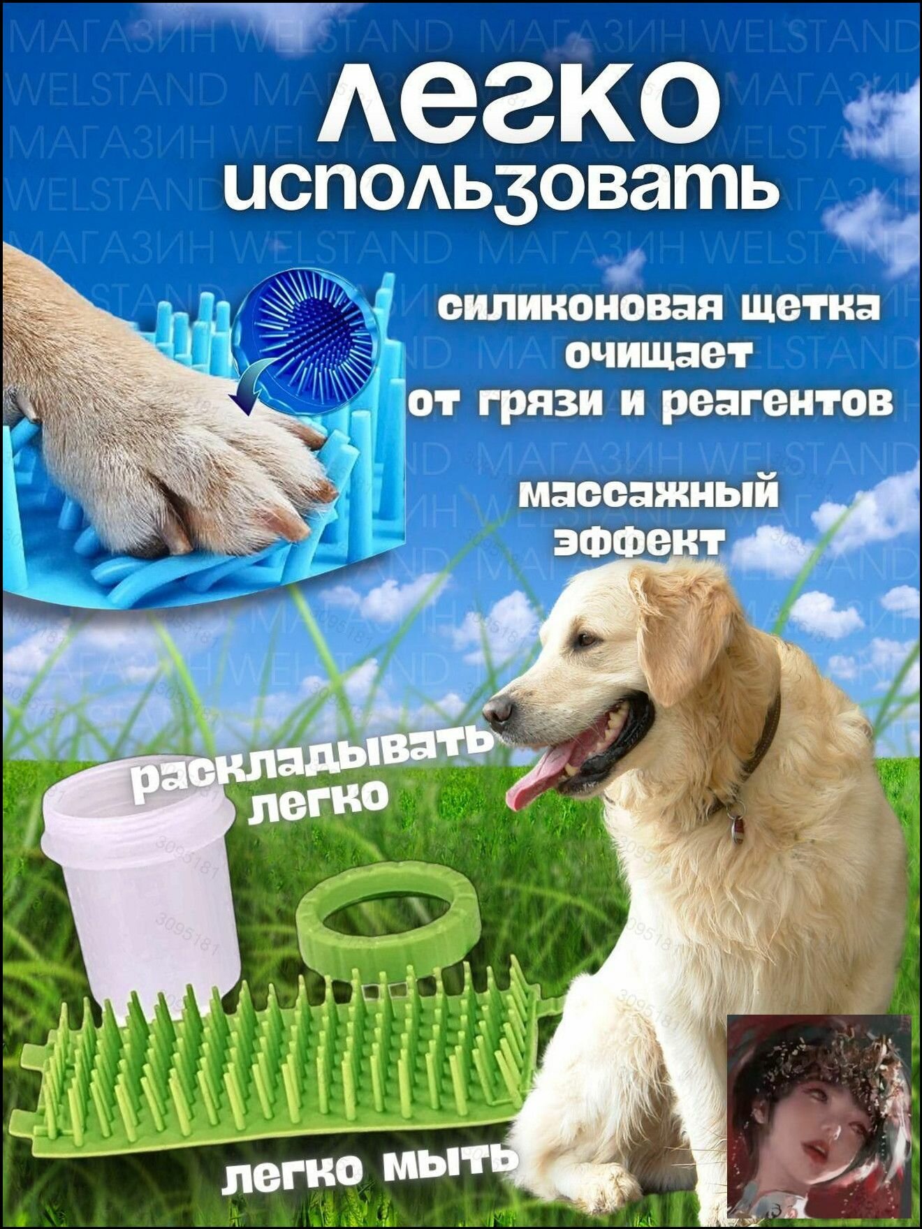 Лапомойка — фото 1