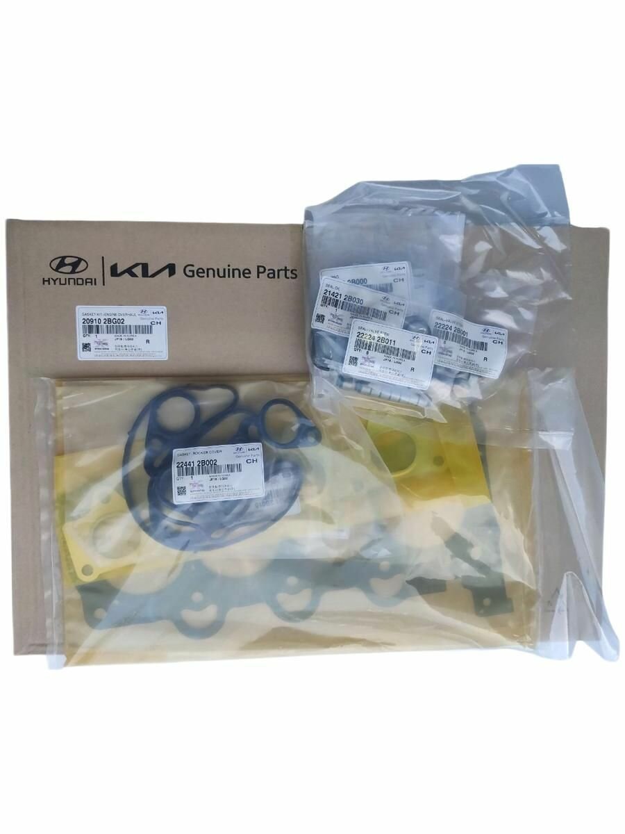 Комплект прокладок Kia Hyundai 209102bg02