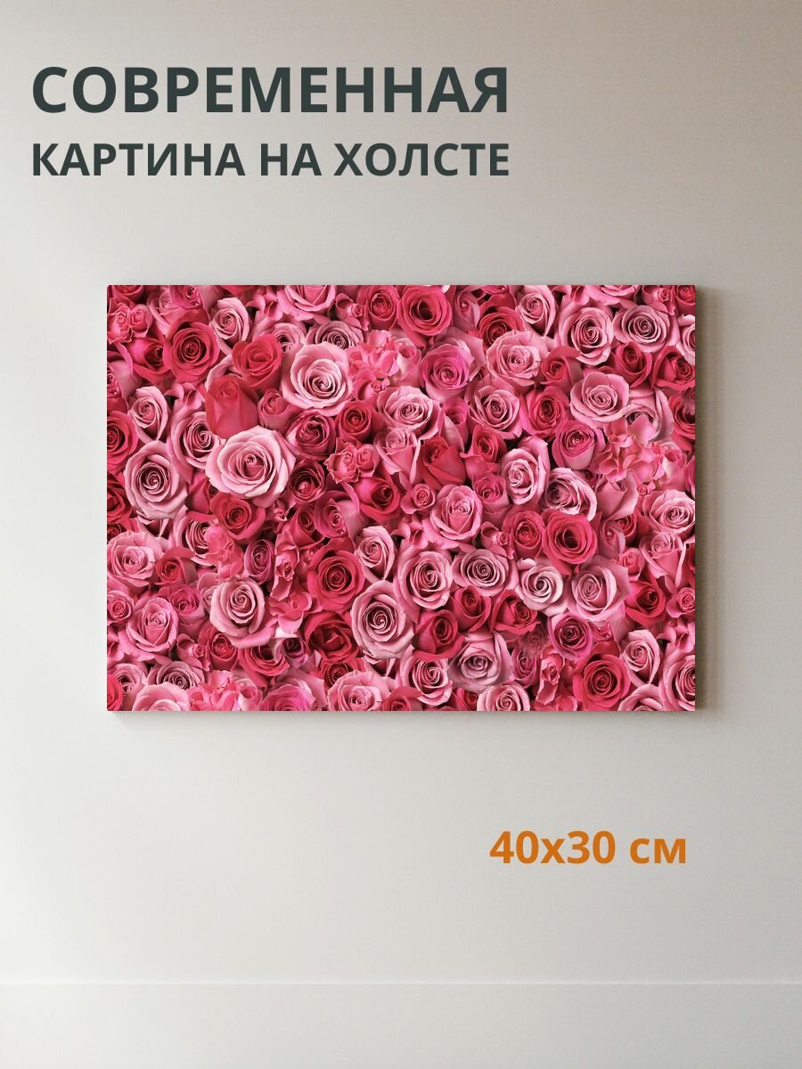 Картина на холсте Розы в спиралях любви 40x30 см