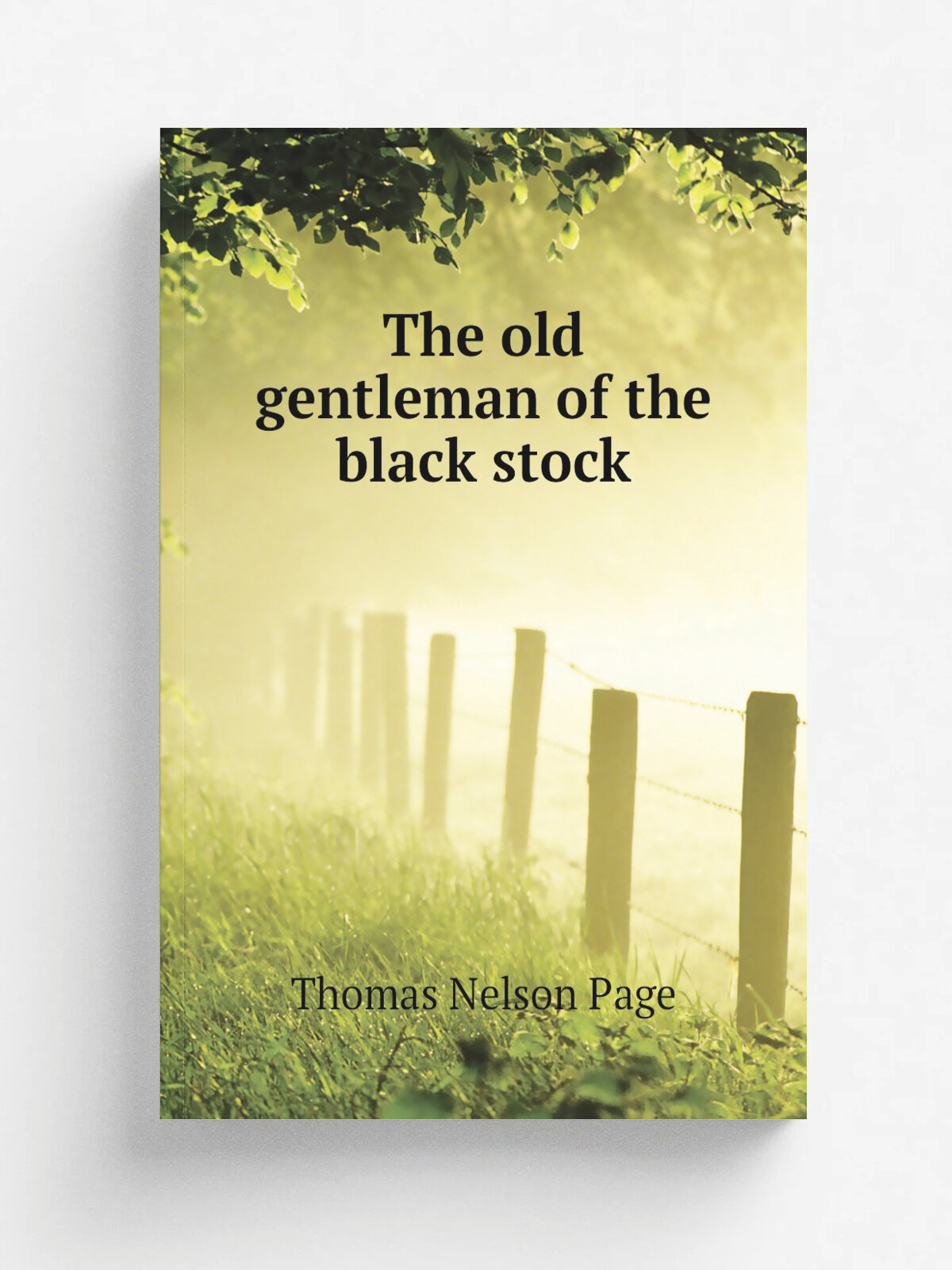 The old gentleman of the black stock | Thomas Nelson Page | Репринт