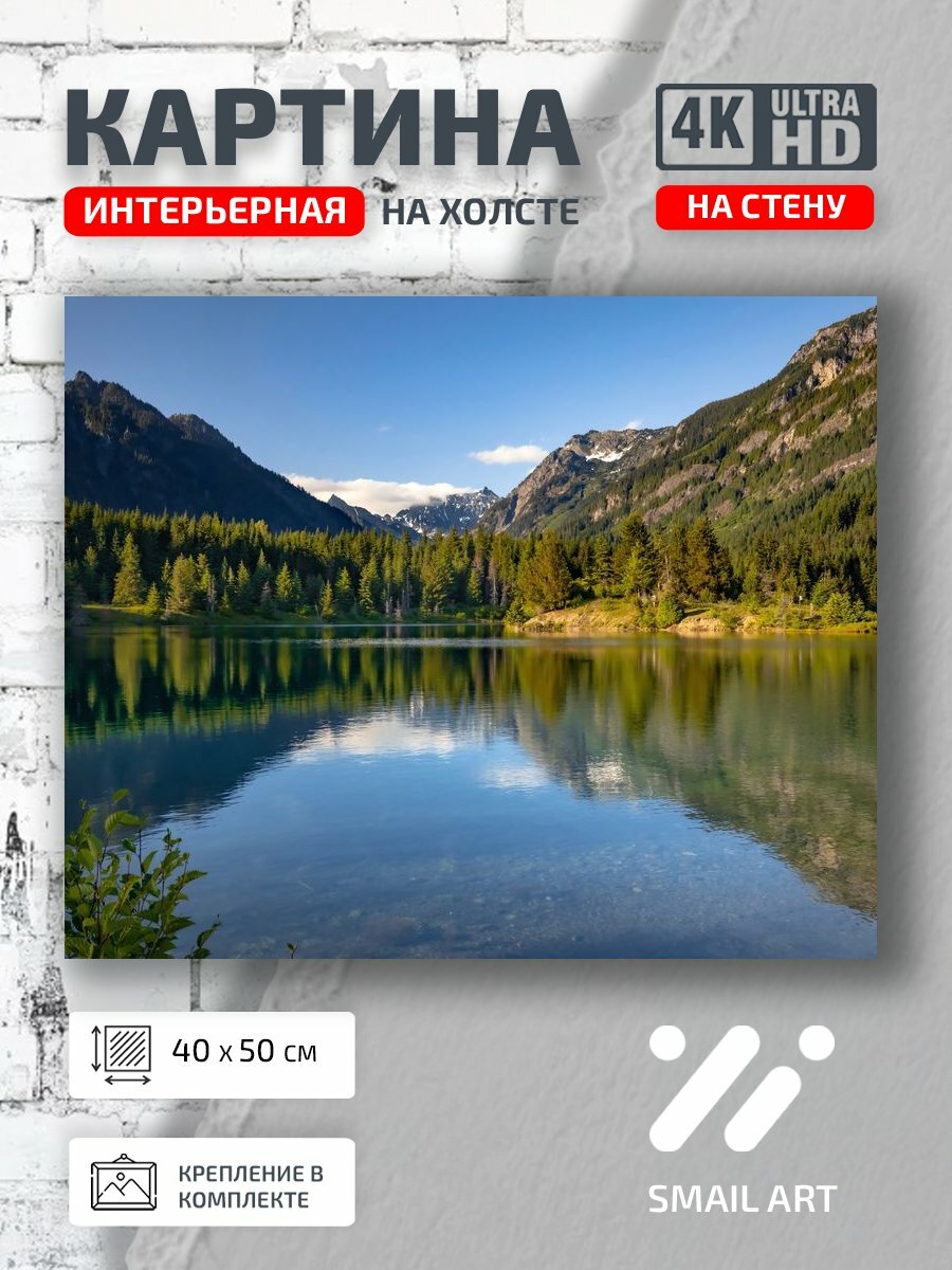 Картина на холсте интерьерная 40 на 50 на стену Лес Landscape для кабинета пейзаж интерьер