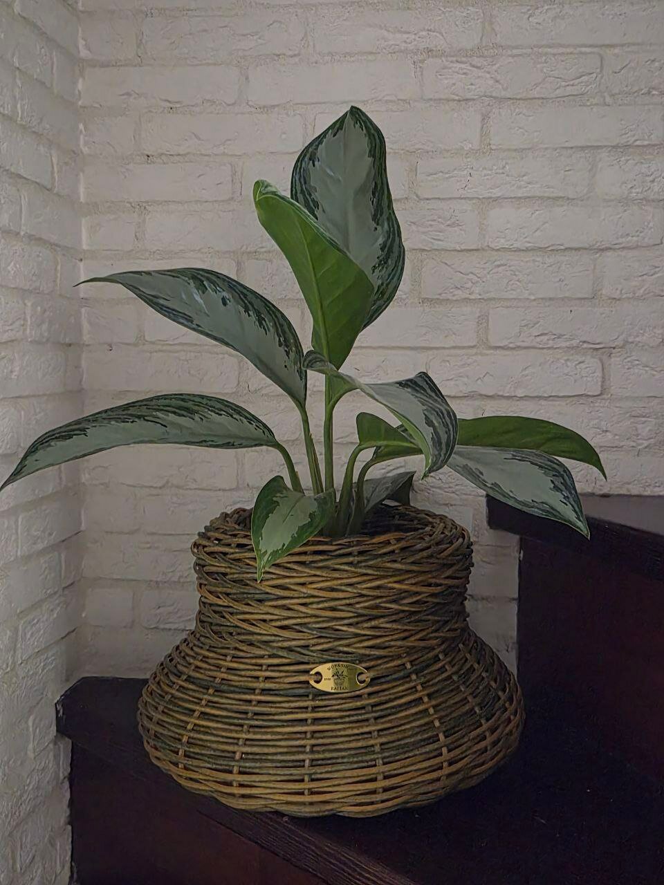 Кашпо из искусственного ротанга "Марусин поясок" для улицы, дома, объём 5 л