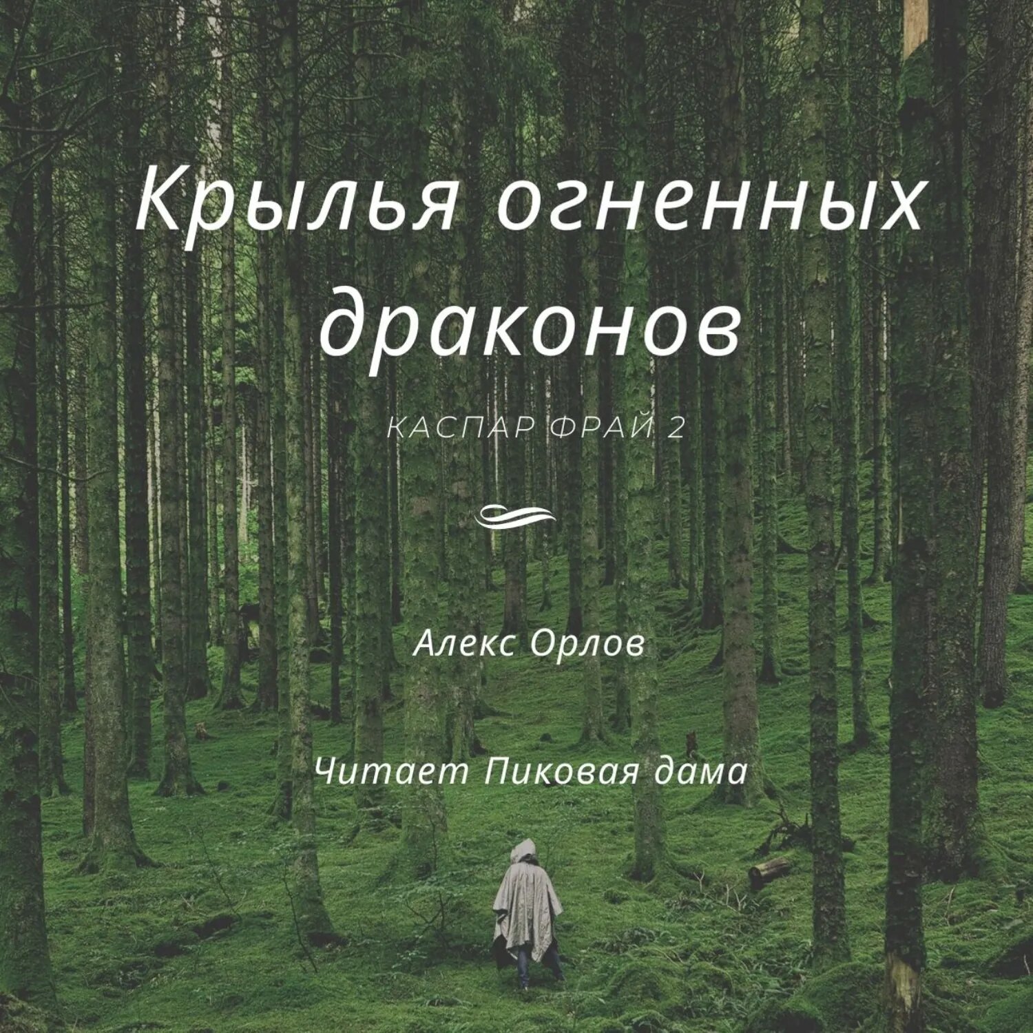 Крылья огненных драконов [Аудиокнига]