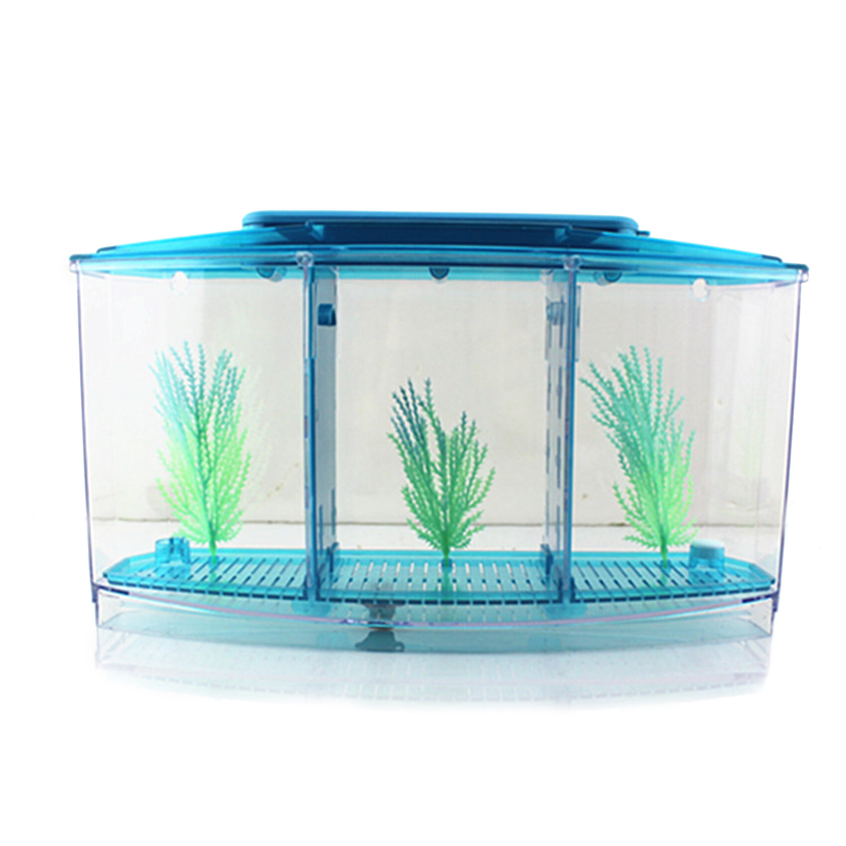 Набор для мини-аквариума Betta Bowl для разведения рыб, инкубатора из акрила, изоляционный бокс для офиса и дома, размер Triple, цвет Blue