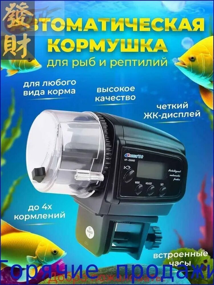 Автокормушка