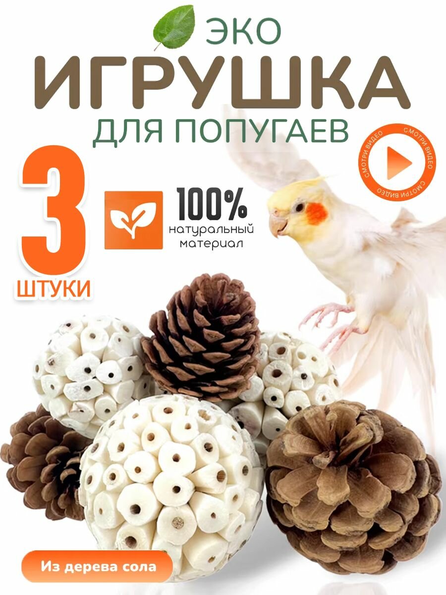 3 штуки, жердочки для попугаев деревянные, для попугаев игрушки