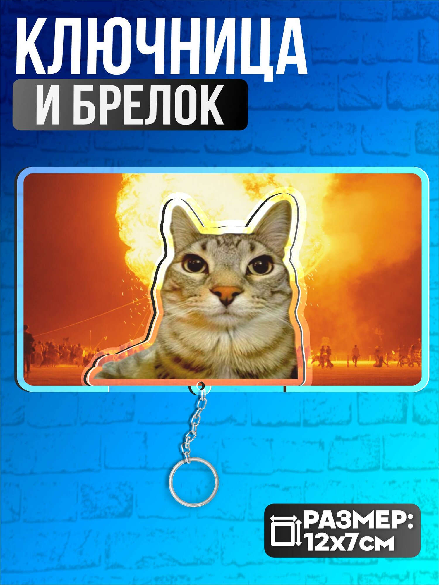 Ключница настенная в прихожую Кот взрыв мем котики