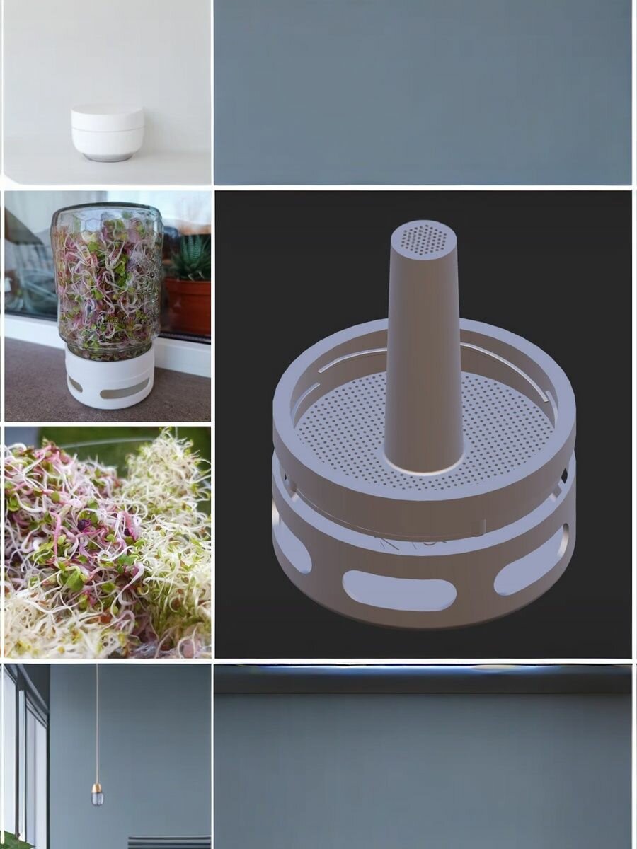 Подставка для проращивания семян