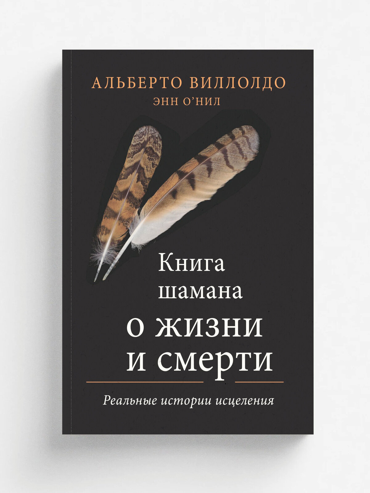 Книга шамана о жизни и смерти. Реальные истории исцеления