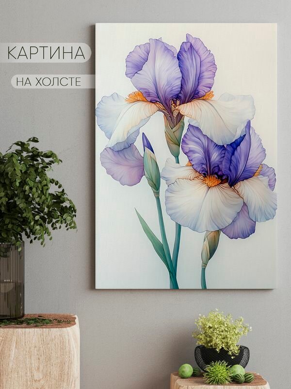 Картина на холсте Красивый цветок Ирис (19) 60х80 см