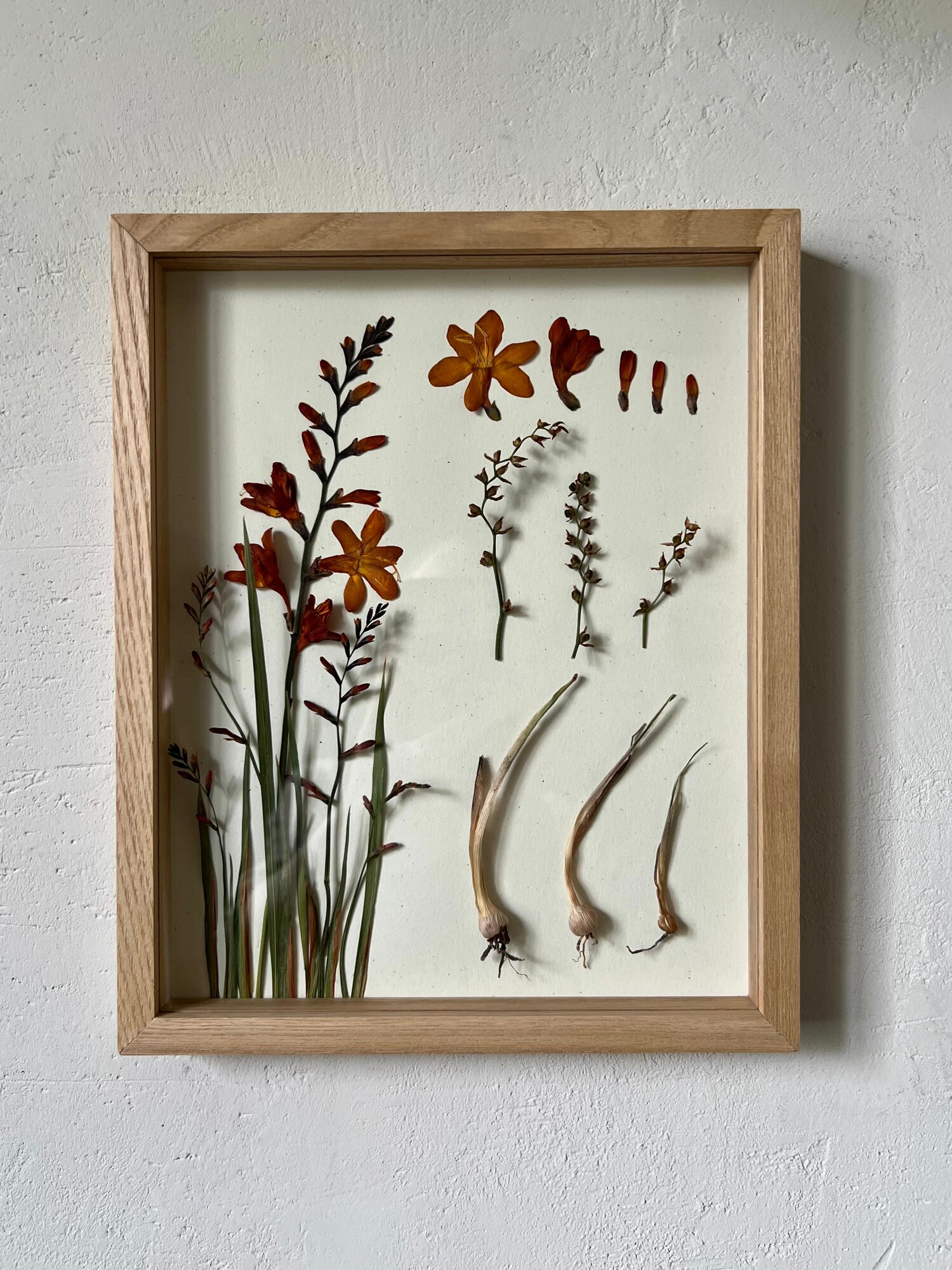 Ботаническое панно из натуральных растений в глубокой рамке 27,5х22,5 см. / Olya_klever