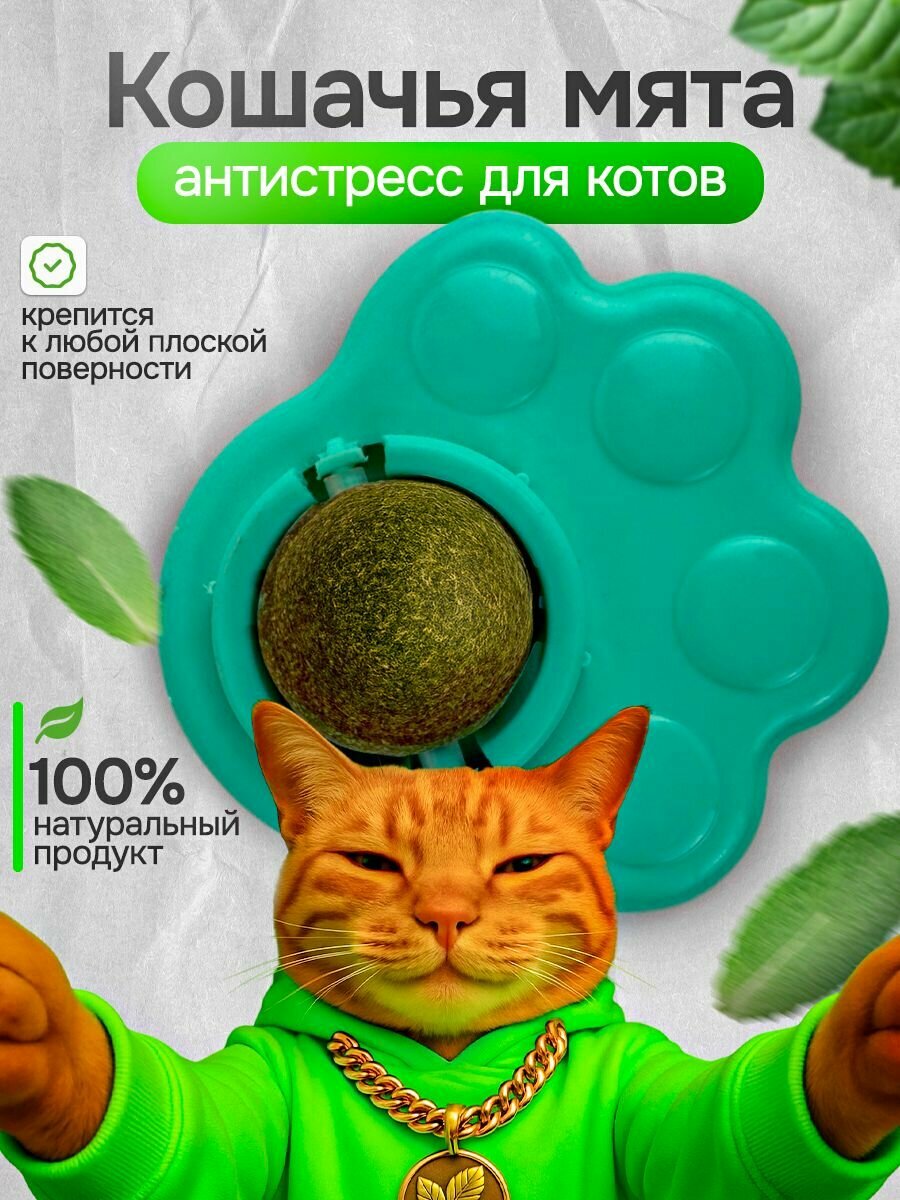 Шарики с кошачьей мятой, антистрессовые, развивающие, игрушки для кошек