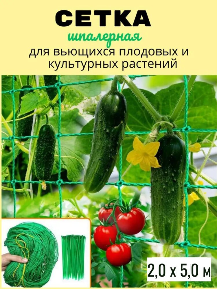 Сетка садовая