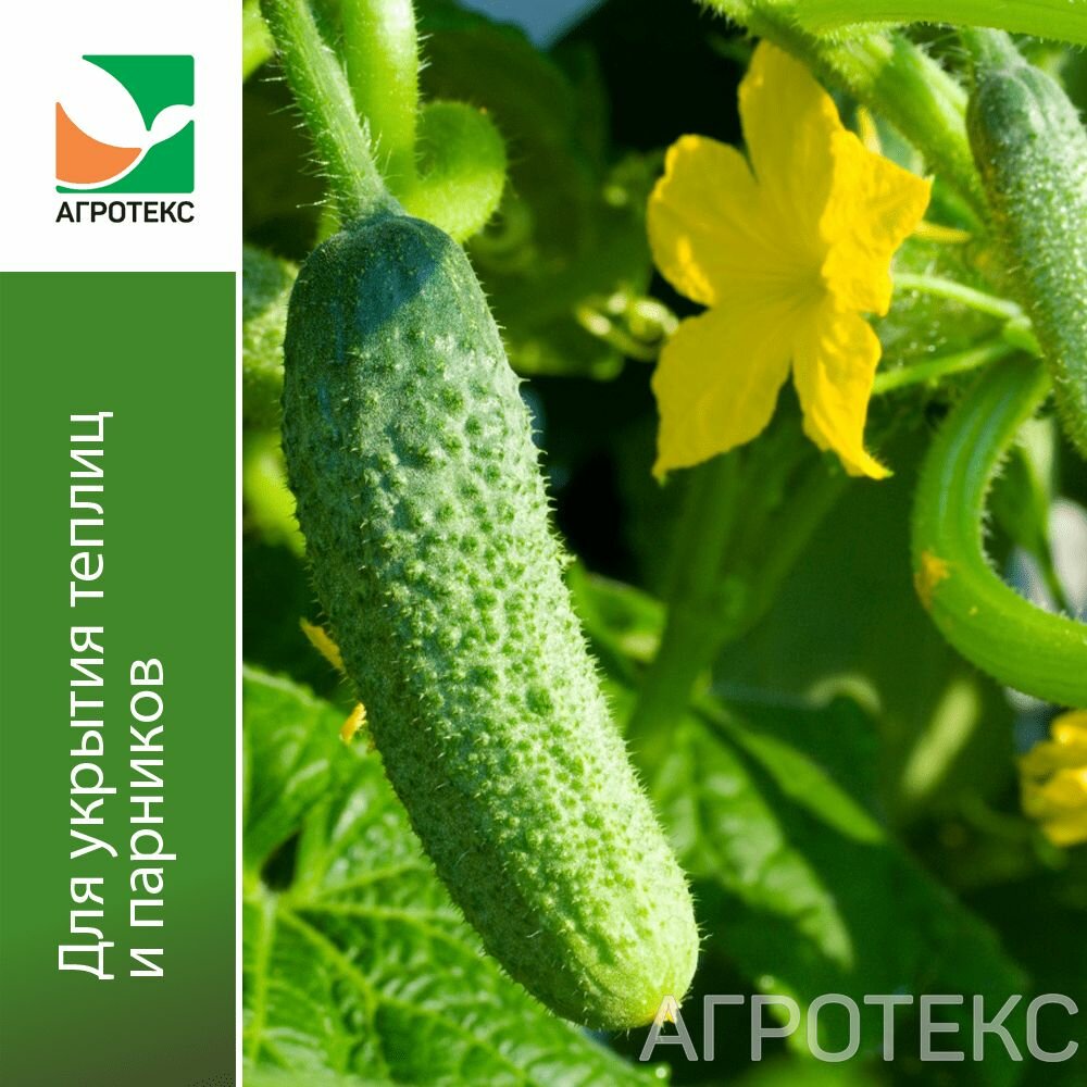 Агротекс микс Пленка антиконденсатная 100 1,6*50м