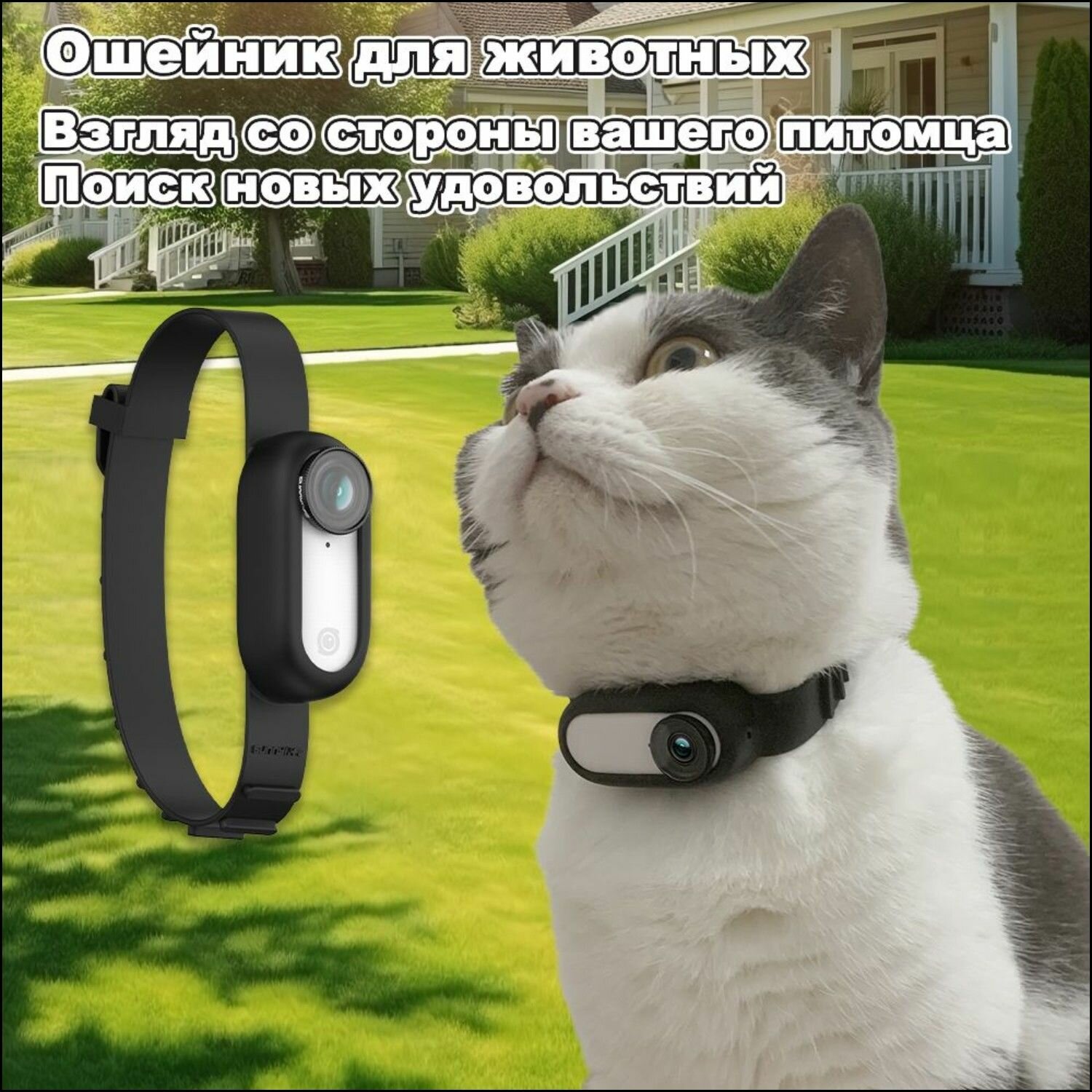 Аксессуары для экшн-камер для домашних животных