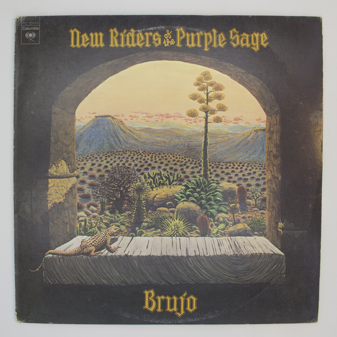 Виниловая пластинка New Riders Of The Purple Sage - Brujo, 1xLP, EX