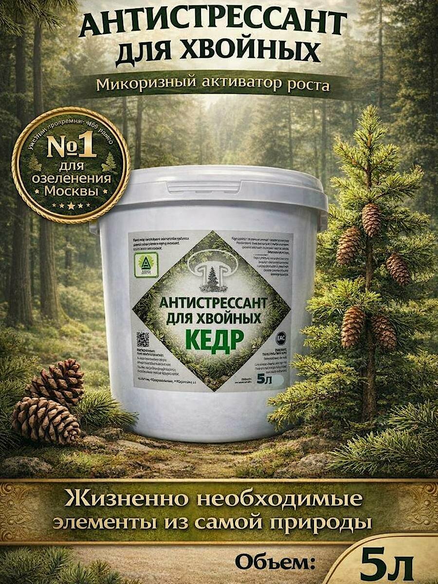Удобрение для хвойных растений, микориза для корней Кедра. Микобакс