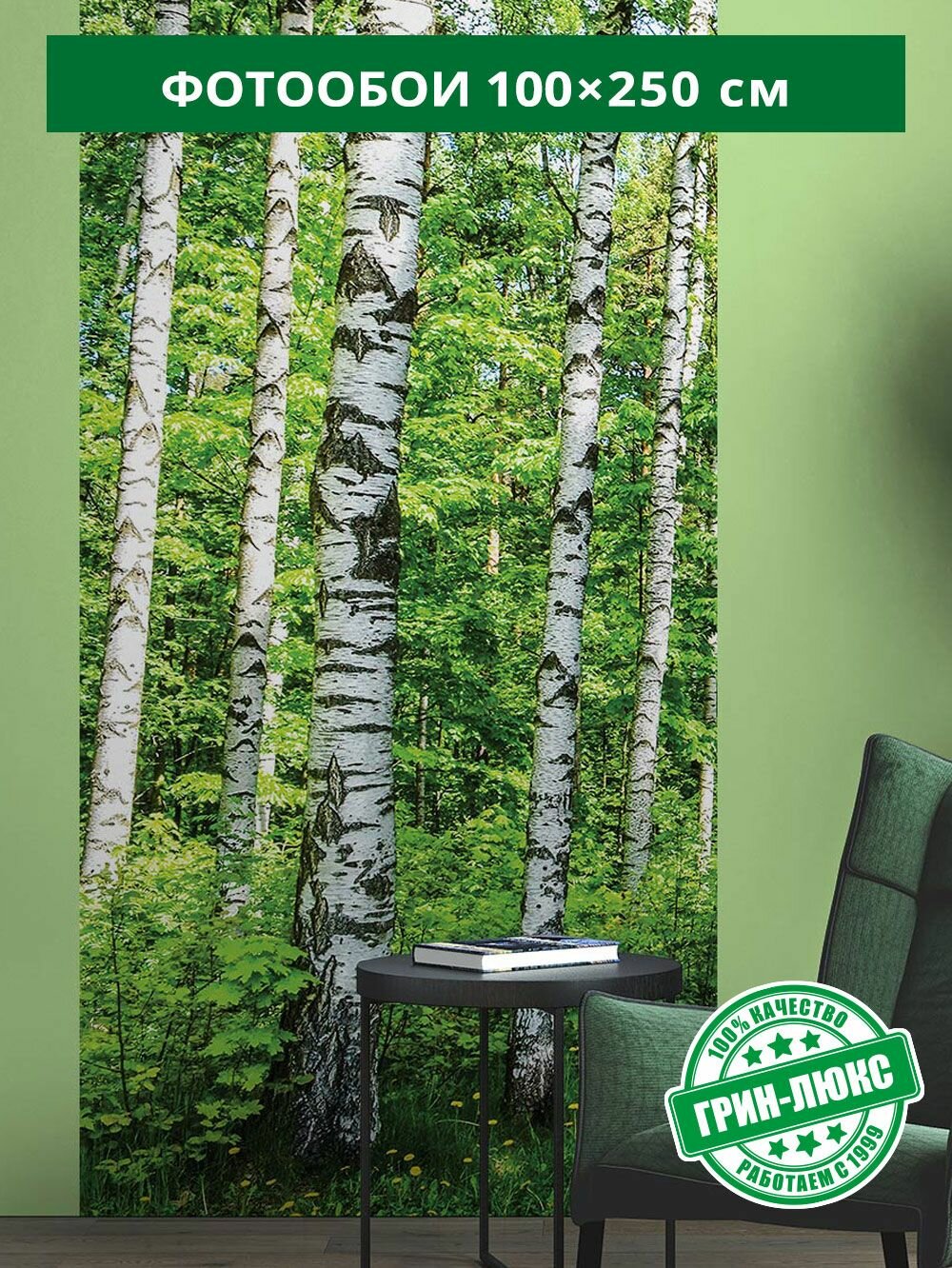 Фотообои на стену "Березовая роща 100х250", обои флизелиновые гладкие в комнату спальню гостиную коридор, пейзаж