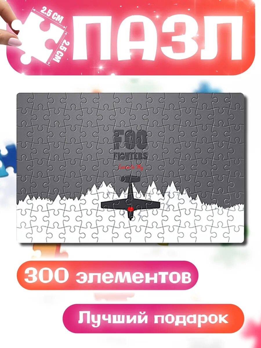 Пазлы для детей и взрослых Самолет Foo Fighters