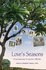 Love's Seasons. Generations Genetics Myths