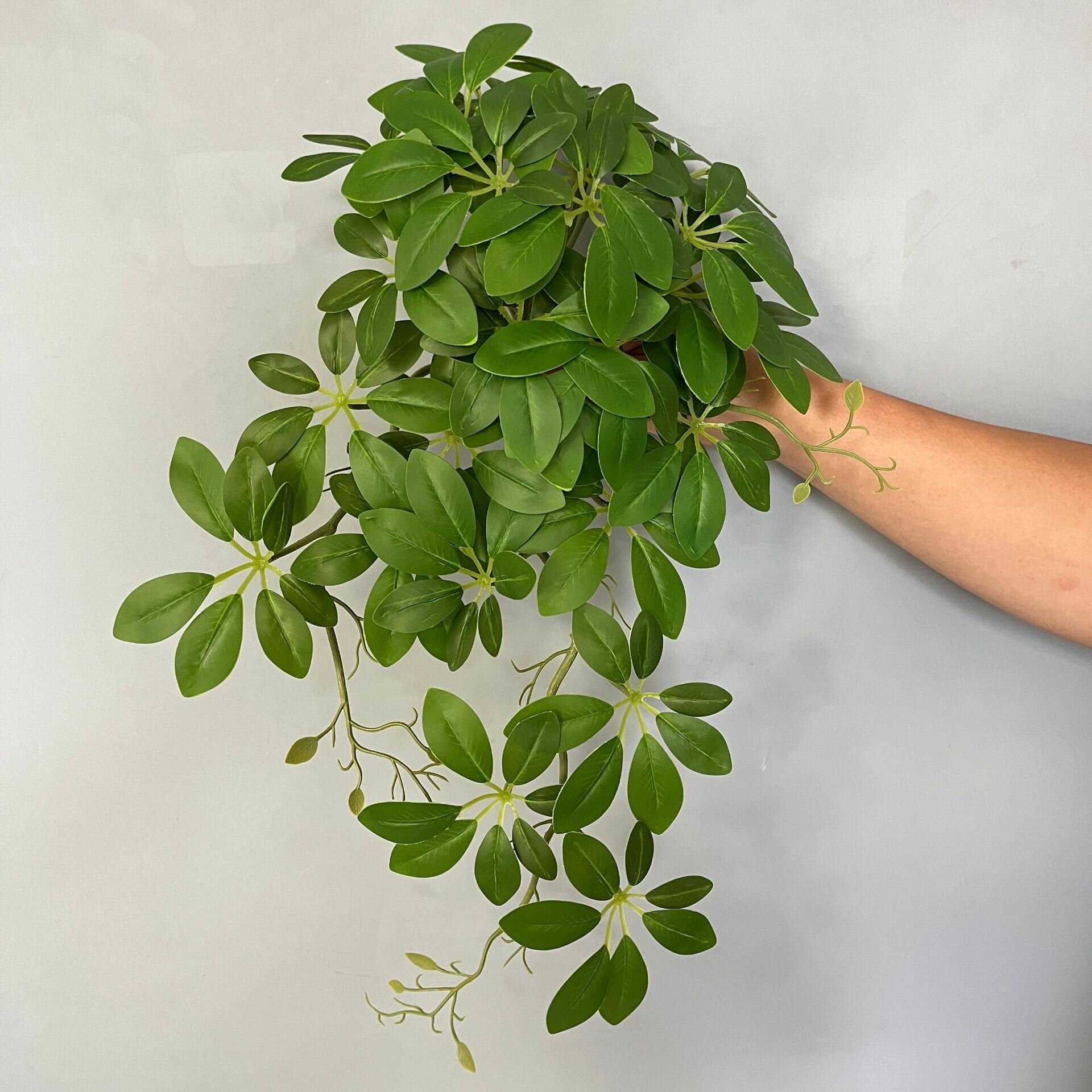 Лиана для декора свисающая Шефлера (ботаническая копия) длиной 45 см