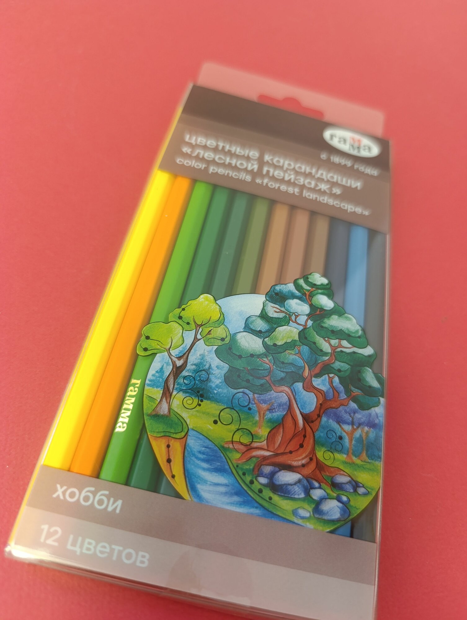 Набор карандашей "Лесной пейзаж" 12 цветов Гамма