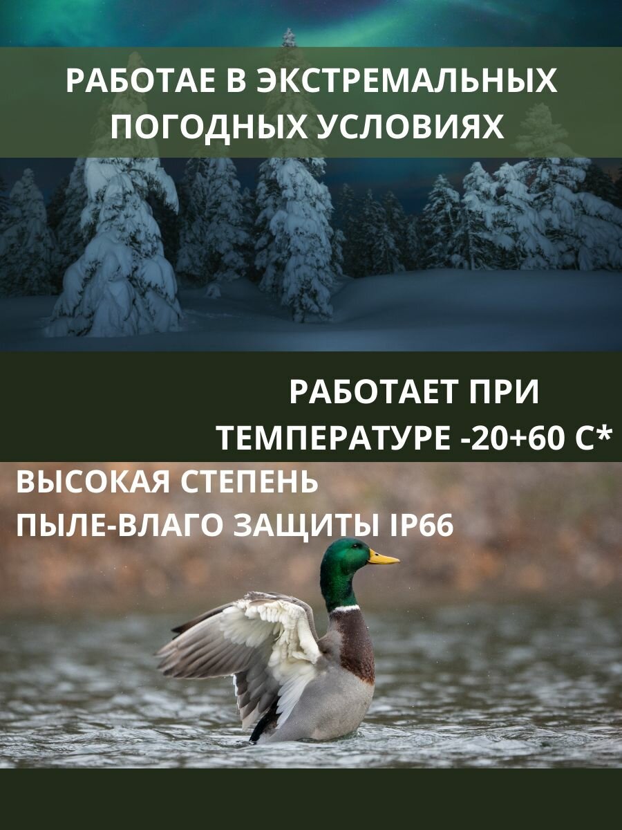 Фотоловушка — фото 1