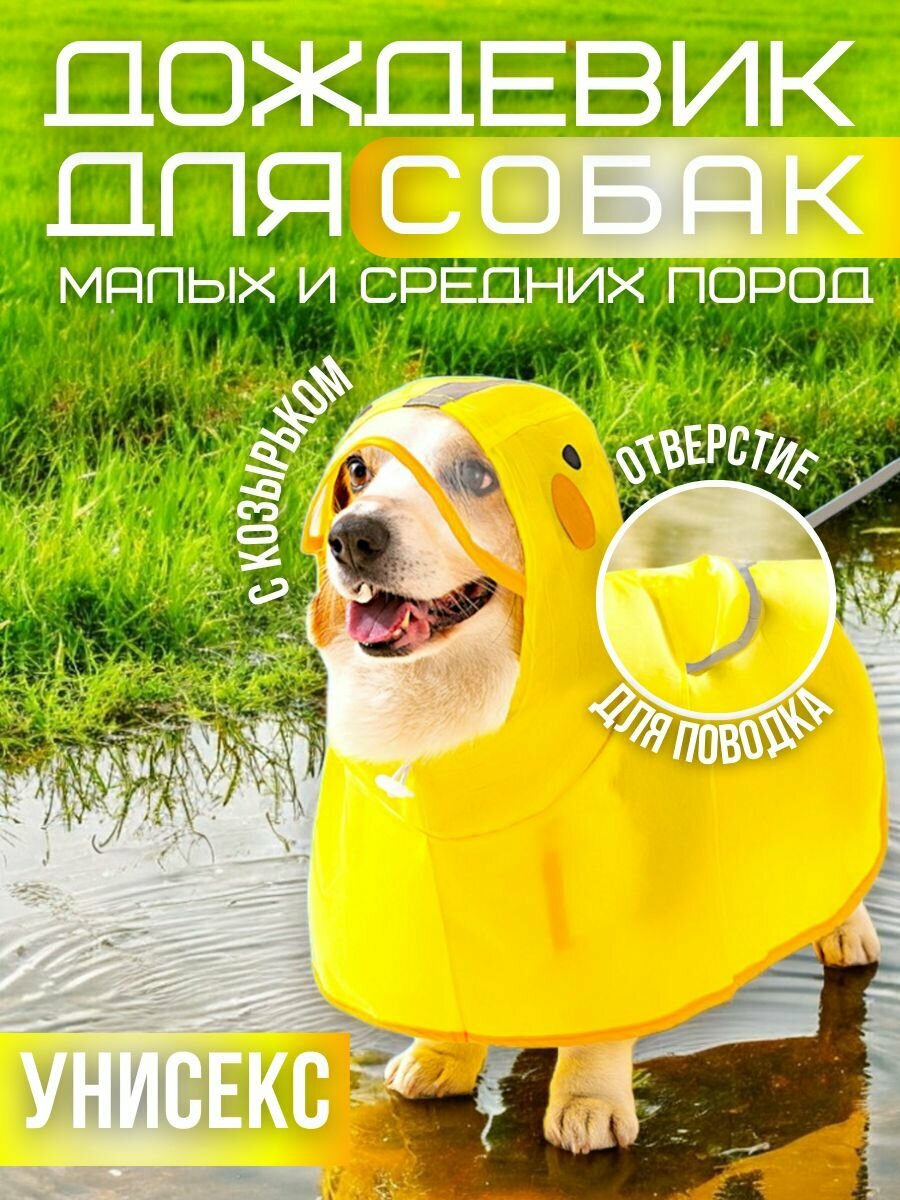 Дождевик для собак водоотталкивающий анатомический (корги/такса/йорк), размерная сетка, светоотражающие полосы