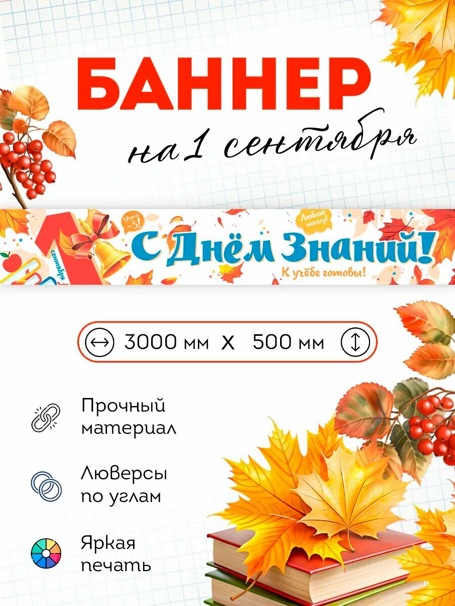Баннер на 1 сентября "С Днем Знаний"