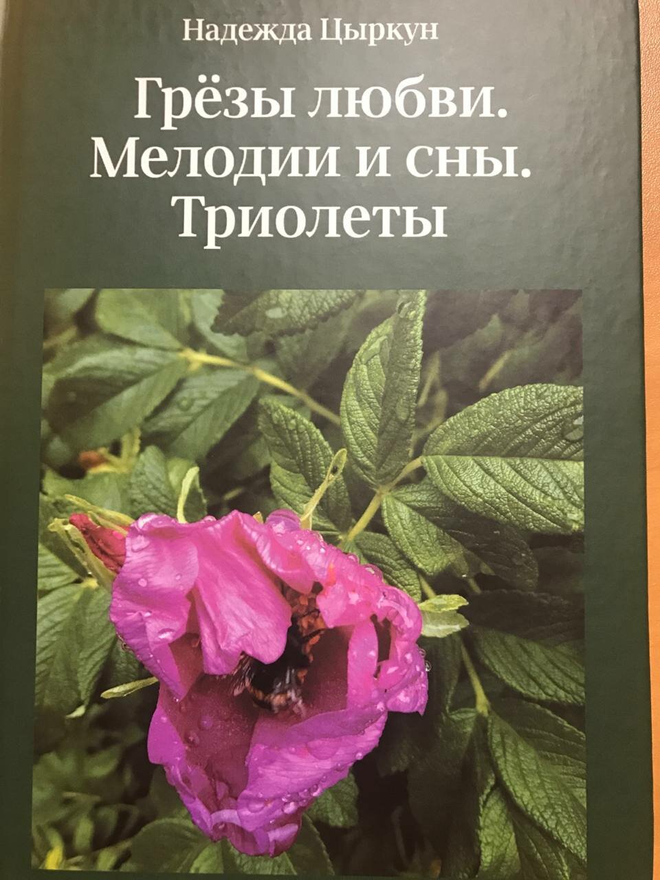 Книга "Грёзы любви. Мелодии и сны. Триолеты", Надежда Цыркун