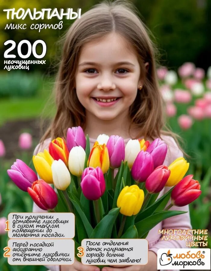 Тюльпан Луковицы неочищенные, Микс сортов, 200шт+ (Любовь морковь)