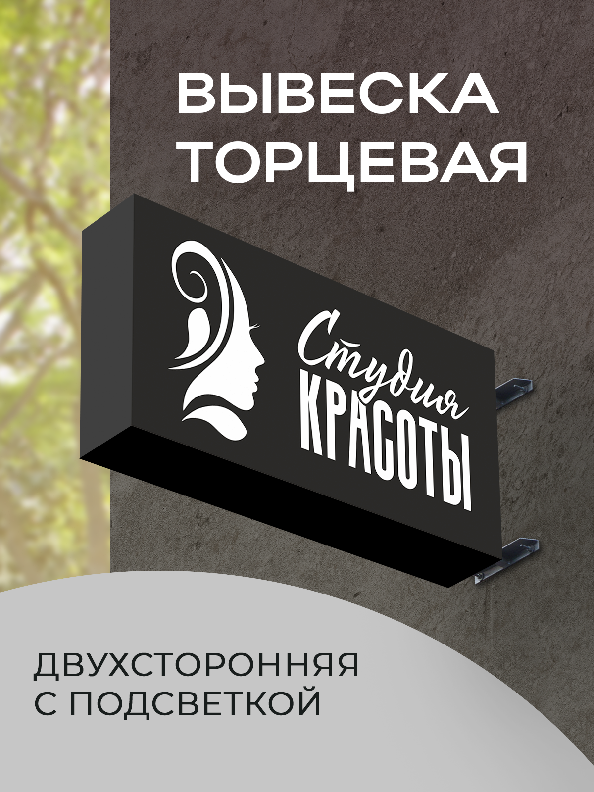 Вывеска торцевая двухсторонняя с подсветкой 30х60 см Студия красоты 5
