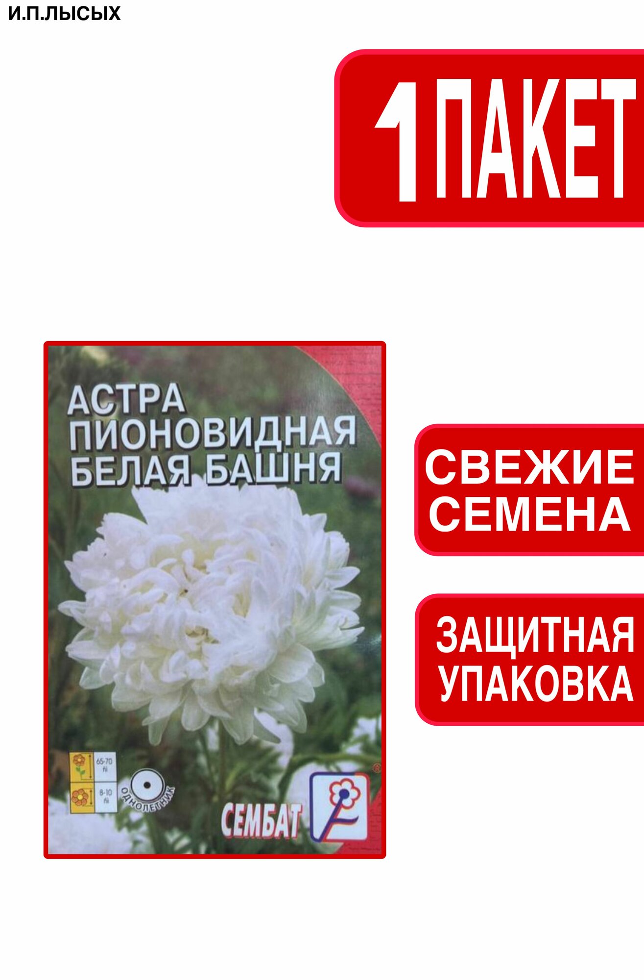 Семена Астра пионовидная белая башня